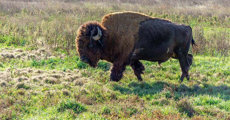 Badlands Photography: South Dakota's Captivating National Park