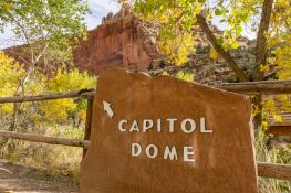 Capitol Reef Photography: Utah's Mighty 5 Surprise Package