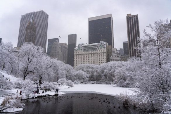Central Park Winter Wonderland: 12 Best Places To Visit In The Snow