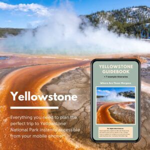 Yellowstone Itinerary 4 Days: Perfect For First Time Visitors