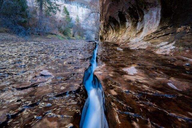 Hiking The Subway Zion: Epic Left Fork Bottom Up Day Hike