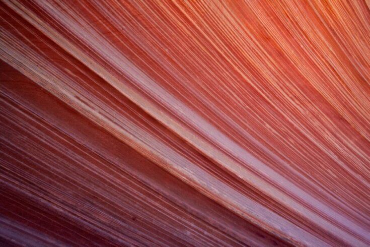 Essential Guide To Hiking The Wave In Arizona