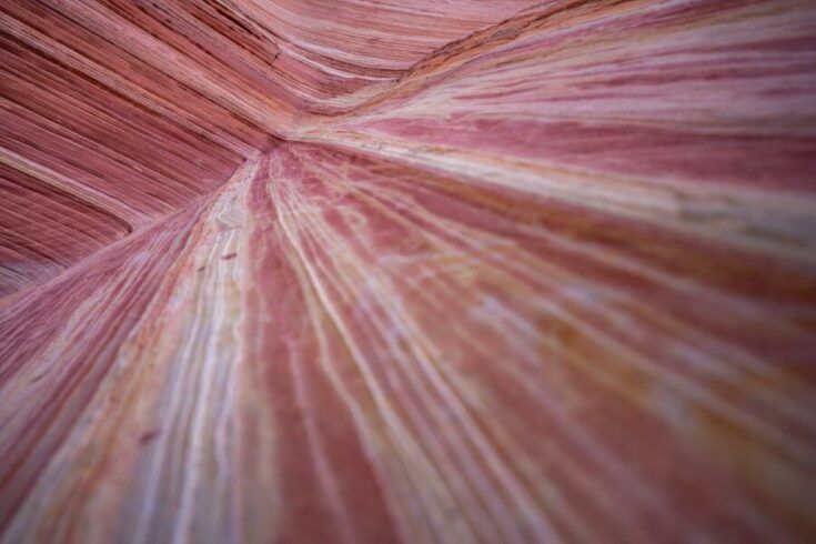 Essential Guide To Hiking The Wave In Arizona