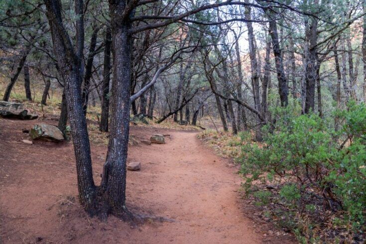 How To Hike Sedona Subway Cave + Boynton Canyon Trail