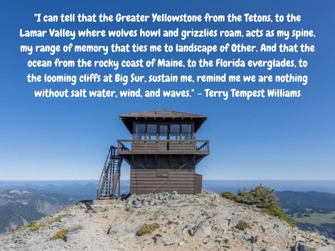 125 National Park Quotes, Captions + Puns