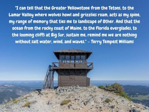 125 National Park Quotes, Captions + Puns