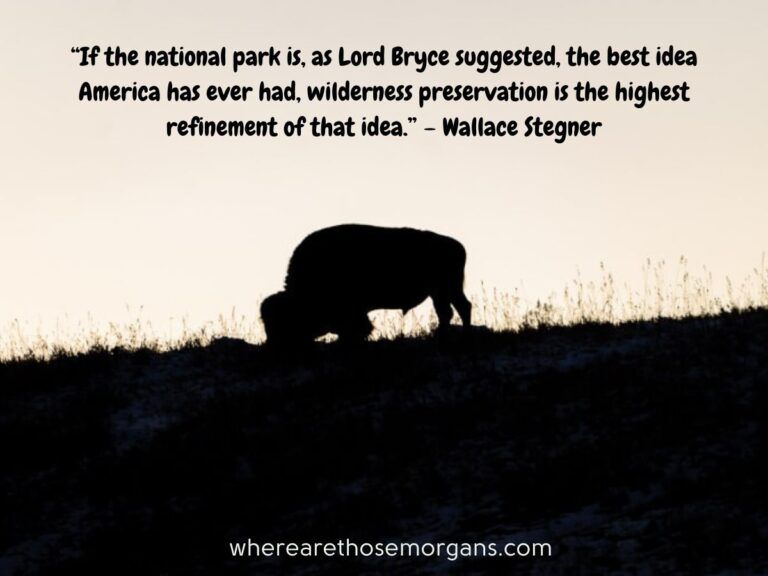 125 National Park Quotes, Captions + Puns