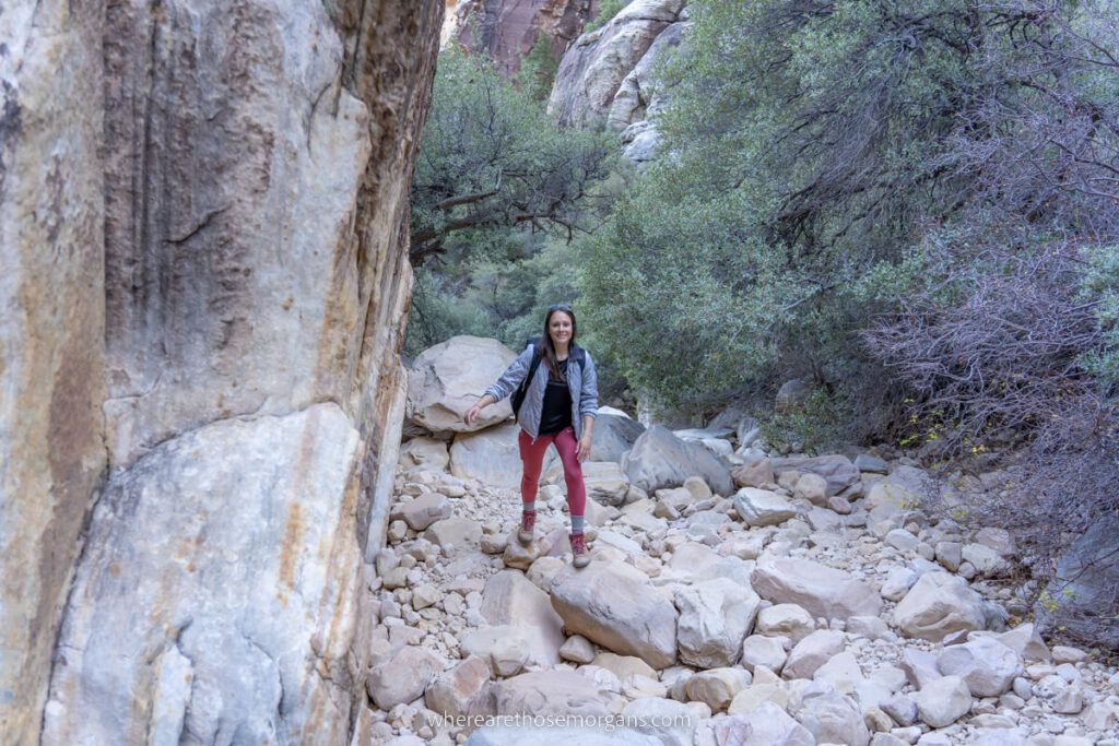 10 Awesome Hikes In Red Rock Canyon