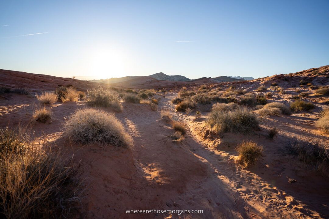 Hiking The Fire Wave Trail In Valley Of Fire