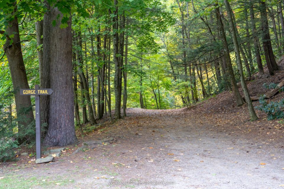 How To Hike The Gorge Trail At Stony Brook State Park
