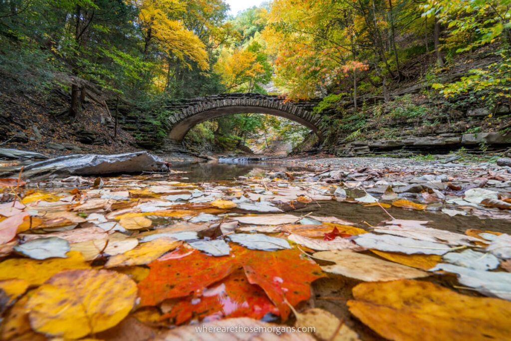 How To Hike The Gorge Trail At Stony Brook State Park
