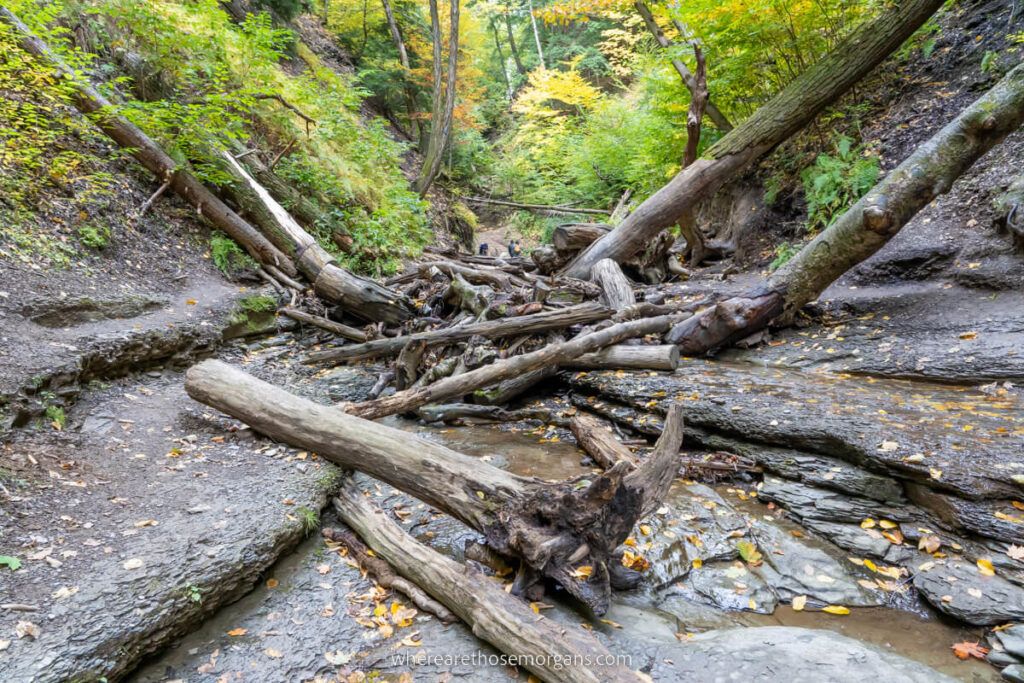 How To Hike To Eternal Flame Falls In New York