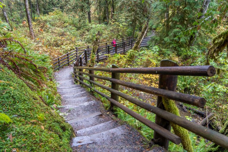 How To Hike Wallace Falls State Park Trail In Washington