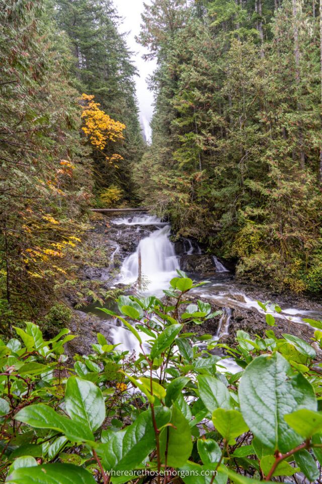 How To Hike Wallace Falls State Park Trail In Washington