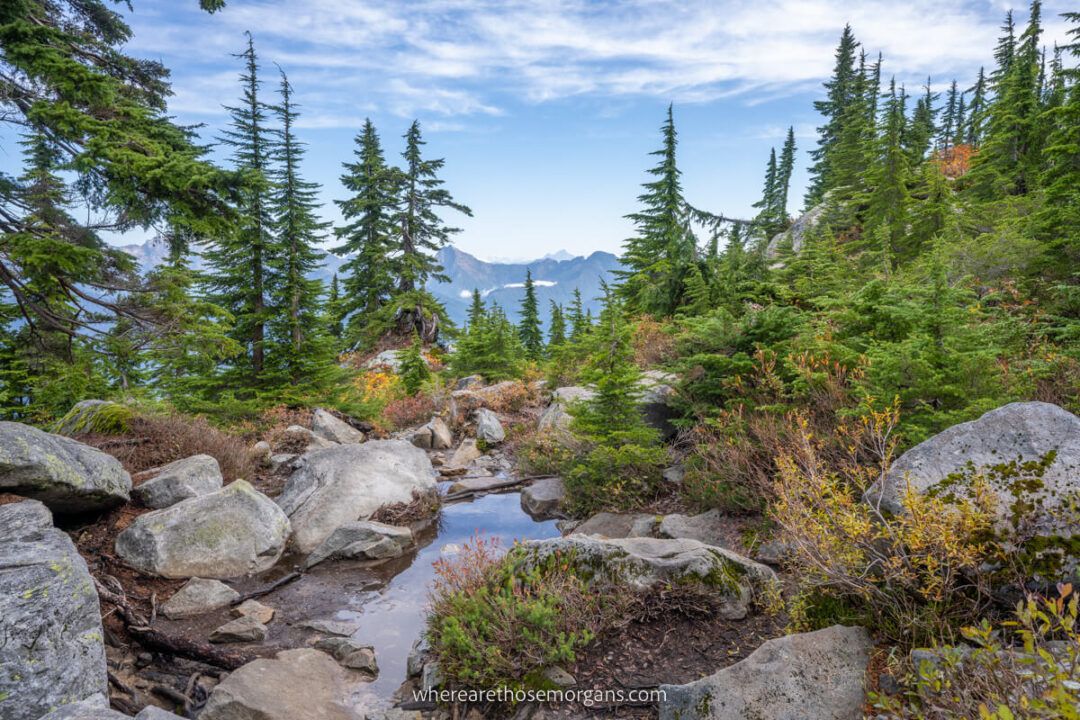How To Hike Mt Pilchuck Trail In Washington