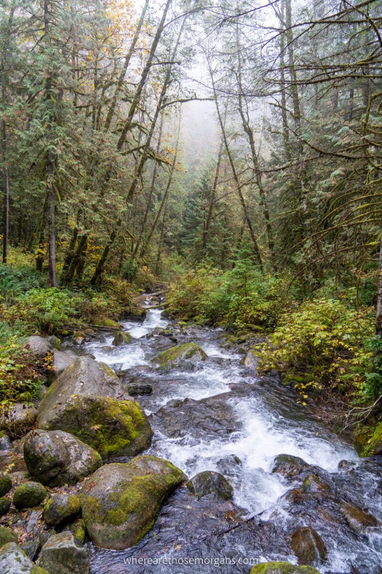 How To Hike Wallace Falls State Park Trail In Washington