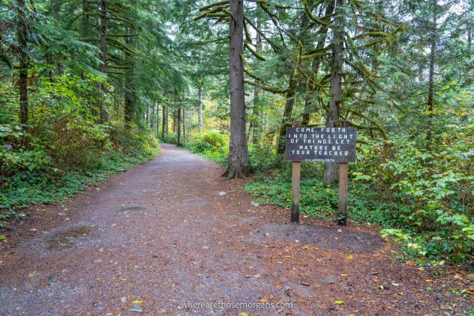 How To Hike Wallace Falls State Park Trail In Washington