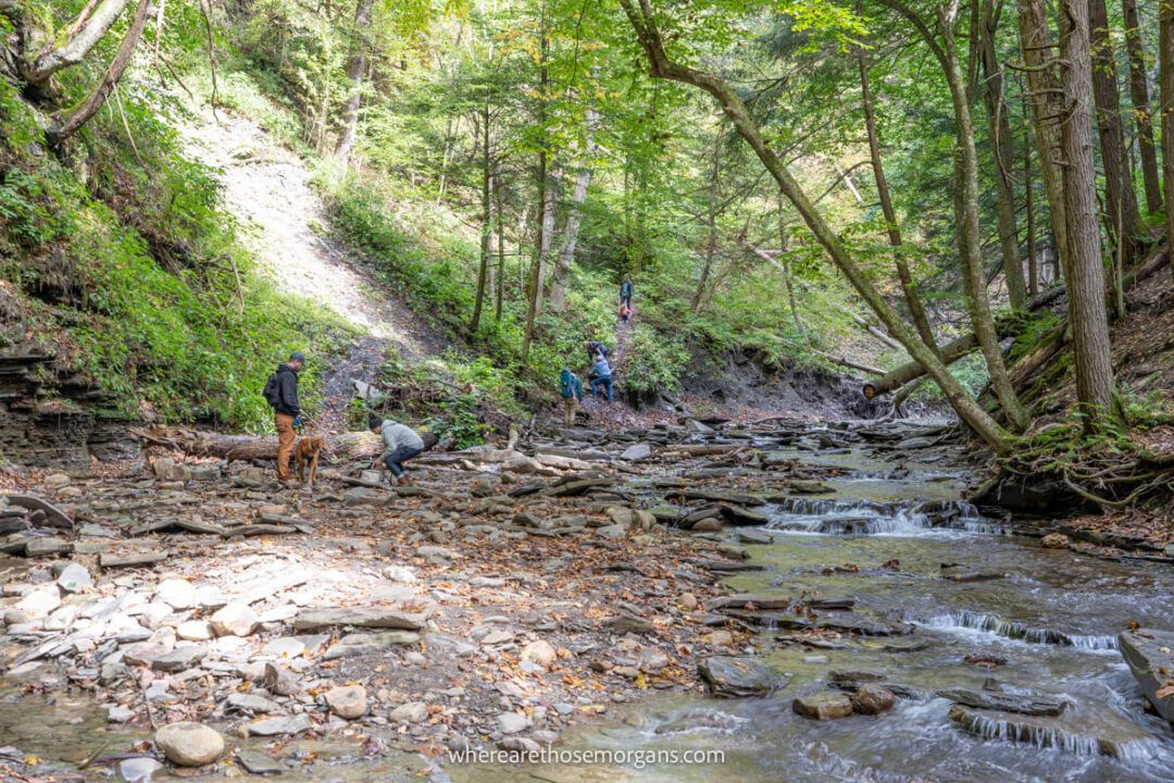 How To Visit Grimes Glen Park In Naples New York