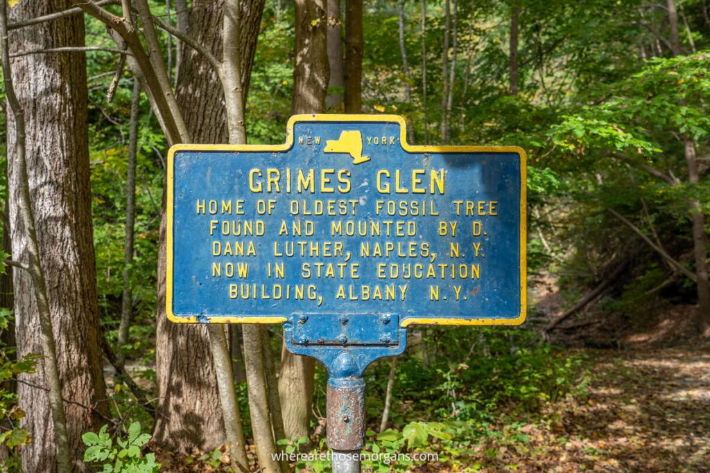 How To Visit Grimes Glen Park In Naples New York