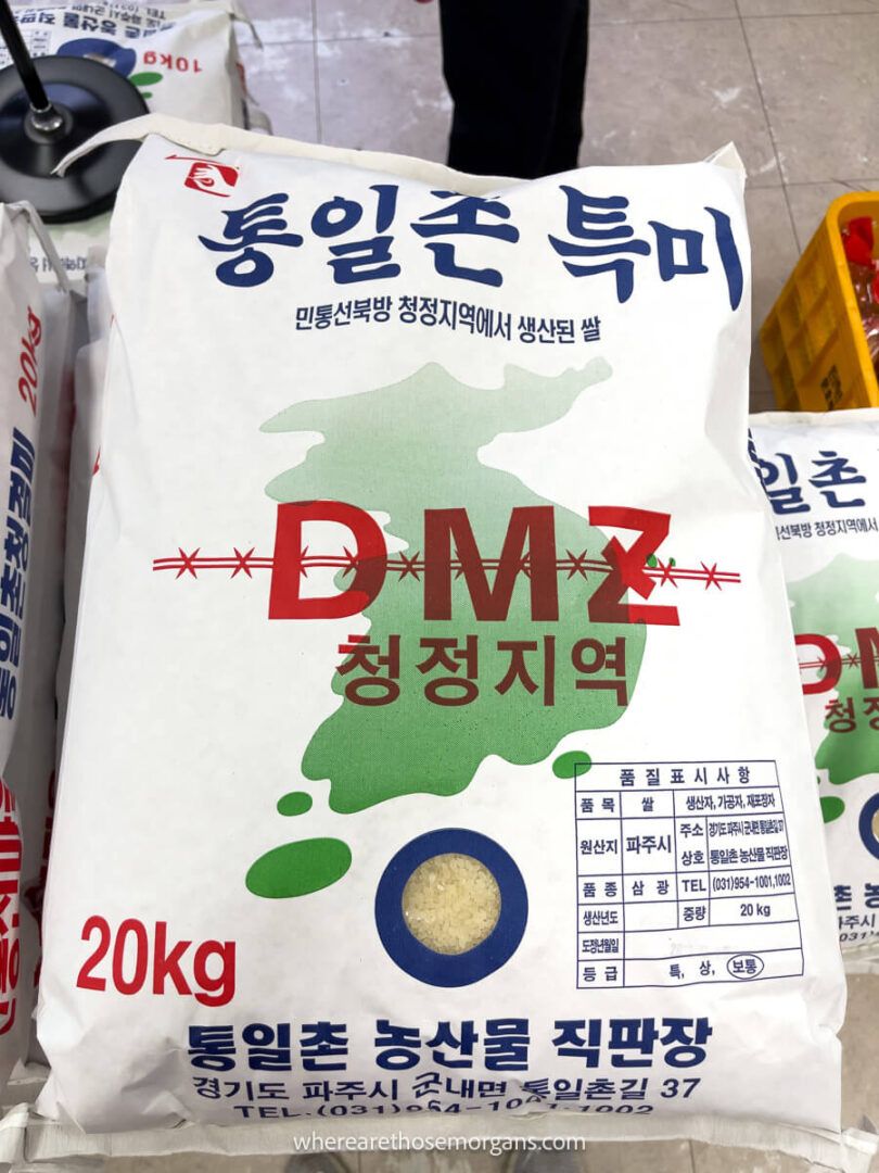 DMZ Tour Review (+ How To Choose The Best One)