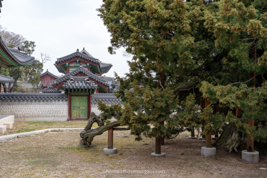 Tips For Taking The Huwon Secret Garden Tour In Seoul