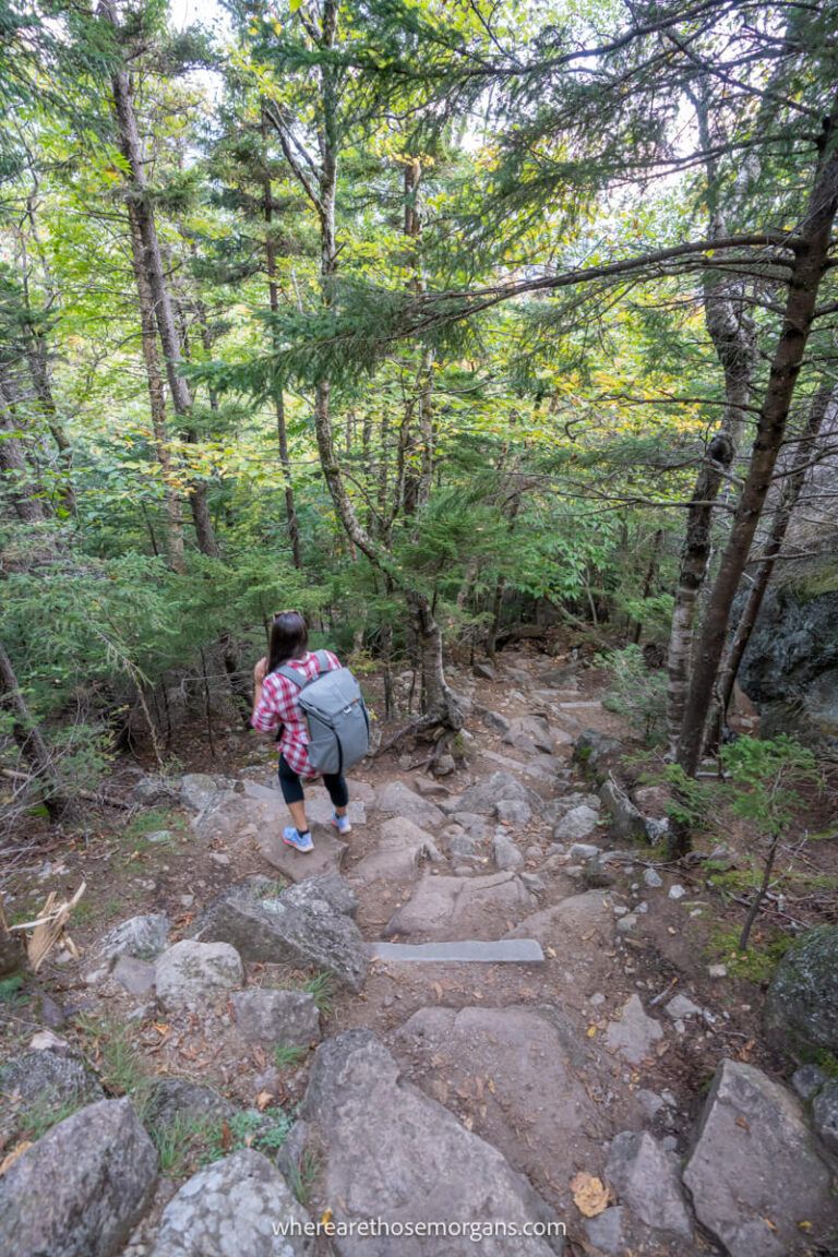 Artists Bluff Trail NH: Short Hike To Stunning Views
