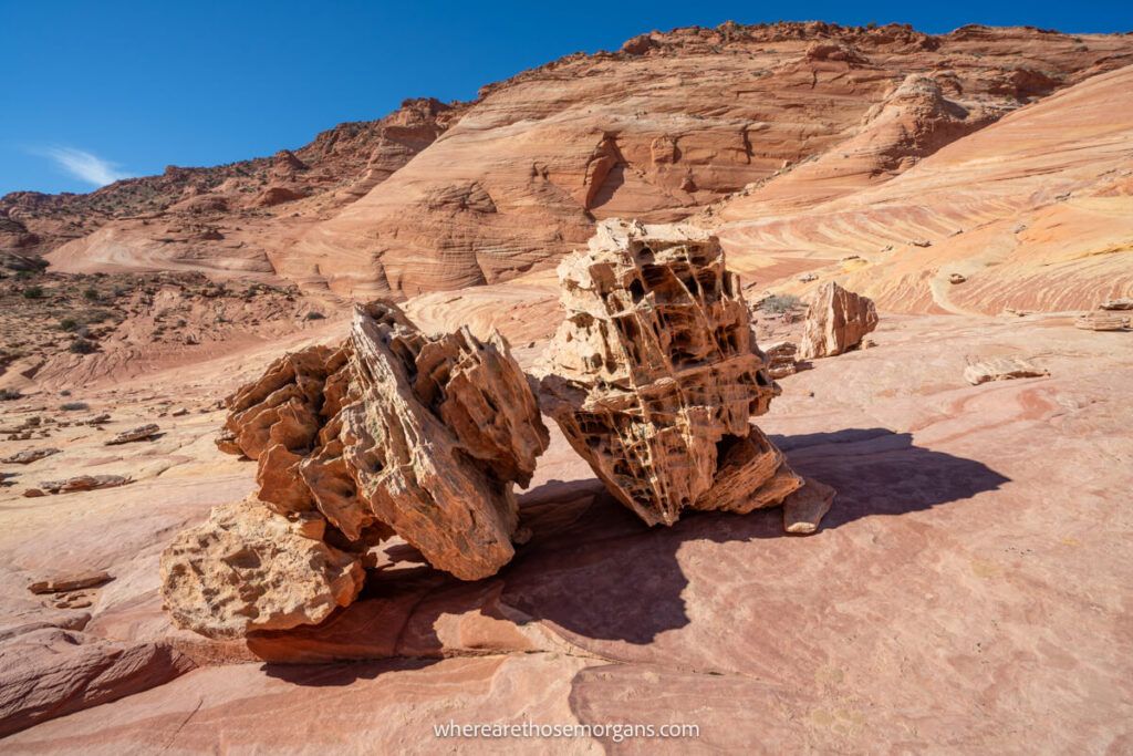 Essential Guide To Hiking The Wave In Arizona