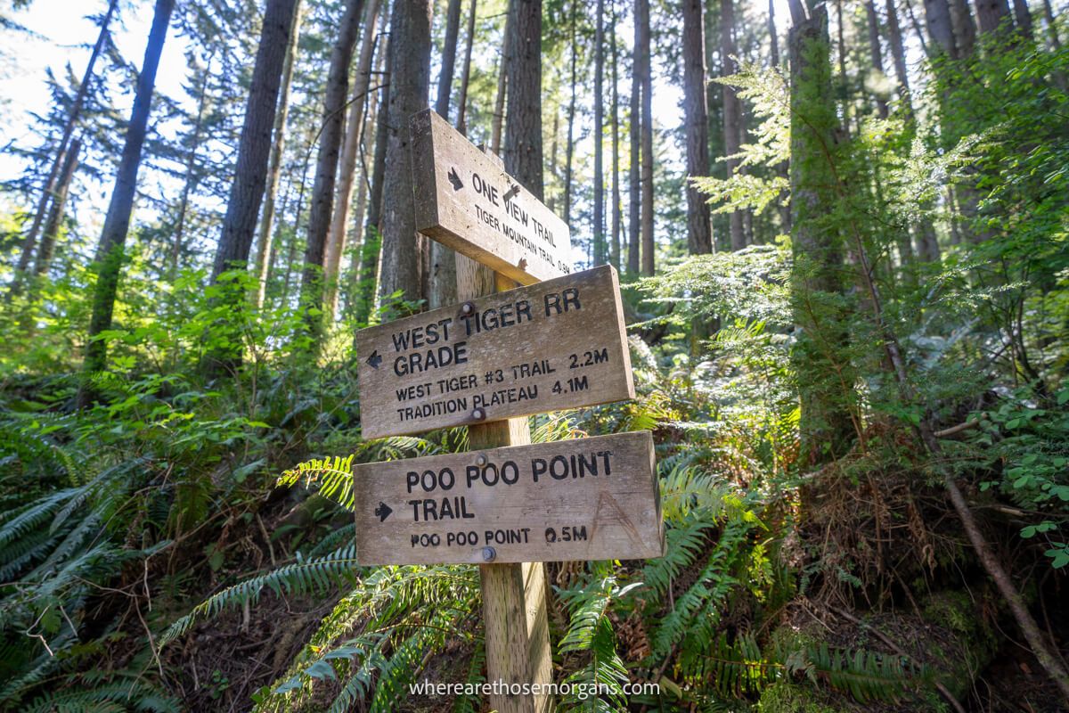 How To Hike Poo Poo Point Trail Near Seattle