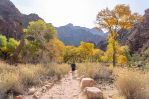 First Time In Grand Canyon: Ultimate Travel Guide