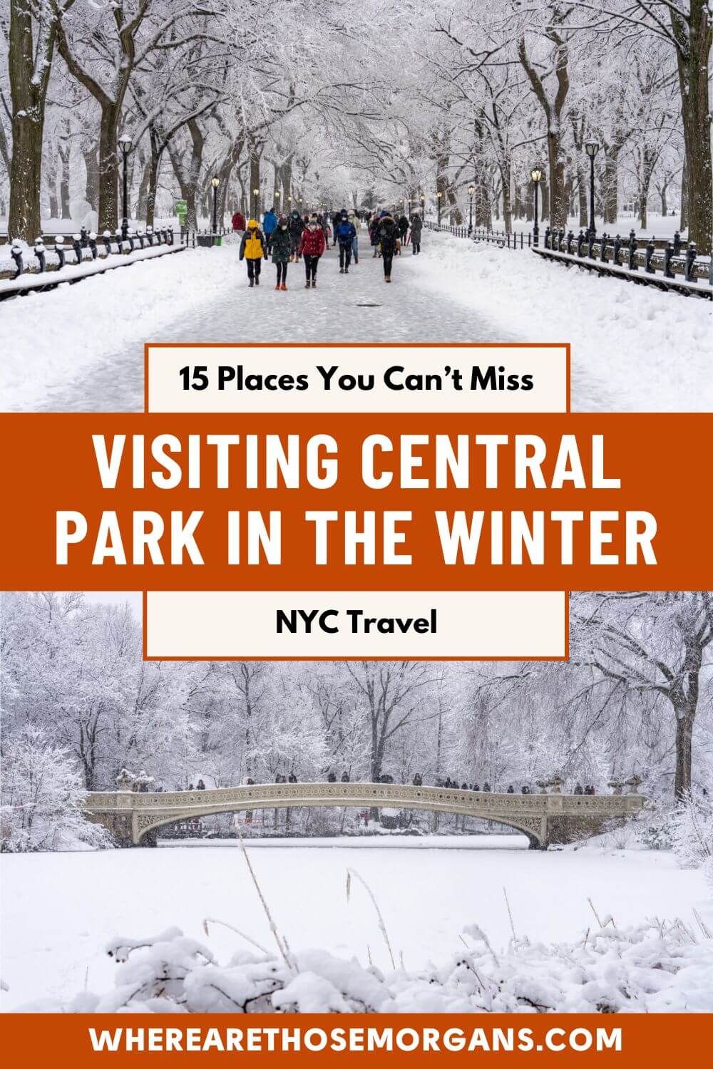 15 Places You Can't Miss In Central Park In The Winter