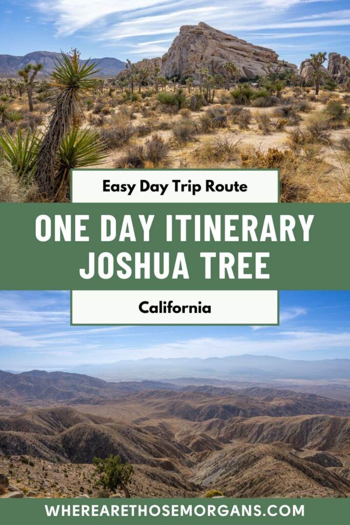 The Perfect One Day In Joshua Tree Itinerary