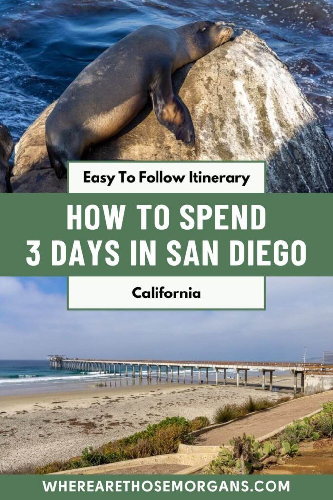 The Perfect 3 Days In San Diego Itinerary
