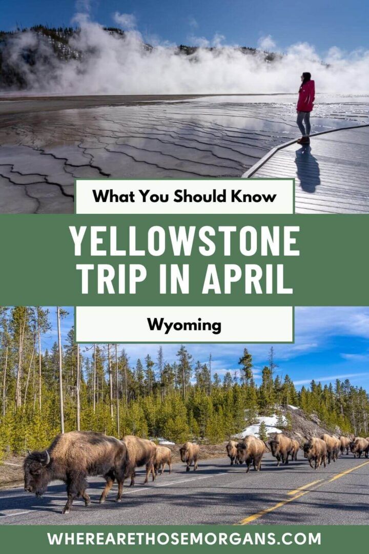 10 Things To Know About Visiting Yellowstone In April